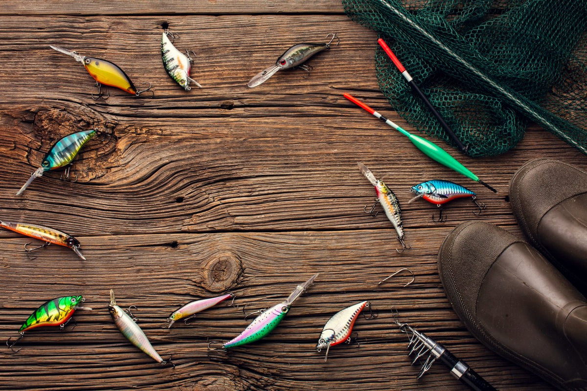 10 Essential Tips for Beginner Anglers: Getting Started in Fishing – BUZZERFISH