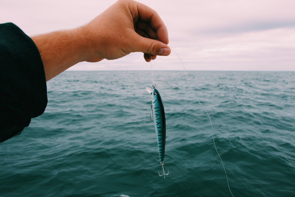 Fly Fishing Basics: A Beginner’s Guide – BUZZERFISH