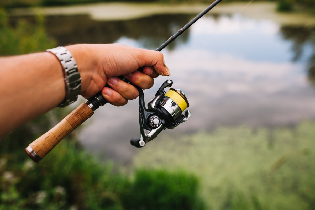 The Ultimate Guide to Choosing the Right Fishing Rod for Your Needs ...