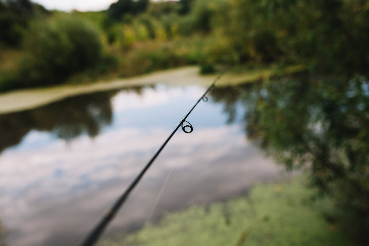 Fishing Gear Essentials: Must-Have Items for Every Angler’s Tackle Box ...