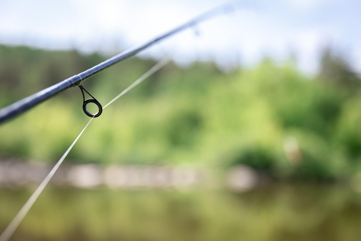 Fishing for Beginners: Essential Gear and Techniques to Get Started ...
