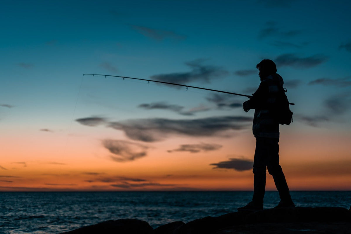 Angling Heaven: Exploring the Fishing Hotspots – BUZZERFISH