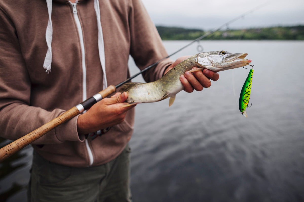 Catch and Release: Best Practices for Preserving Fish Populations ...