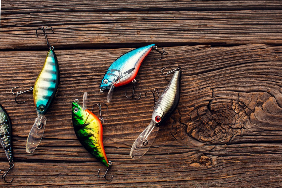 DIY Fishing Lures: Creative Homemade Baits and Tips for Crafting Your ...