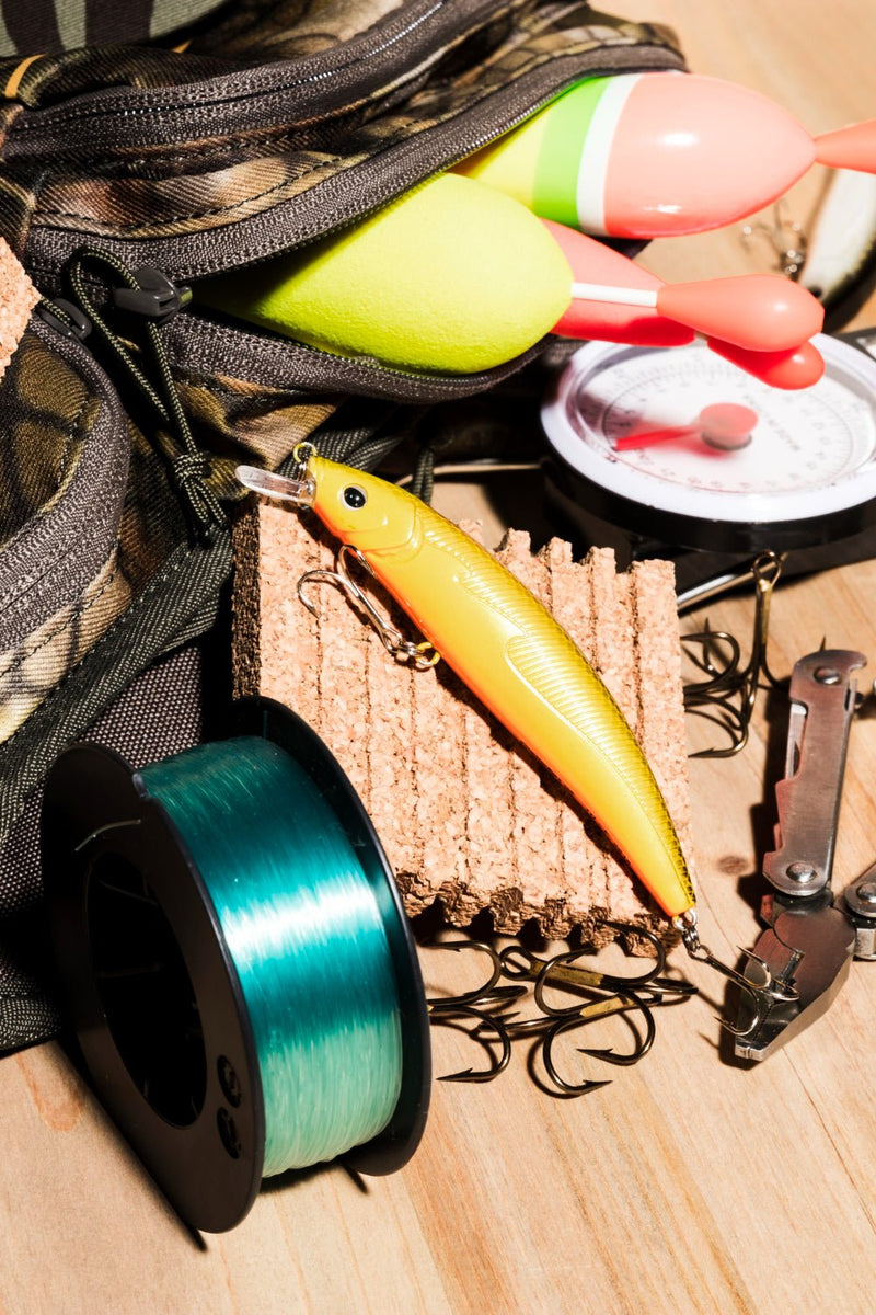 Fishing Gear Essentials: Must-Have Equipment for Every Angler – BUZZERFISH