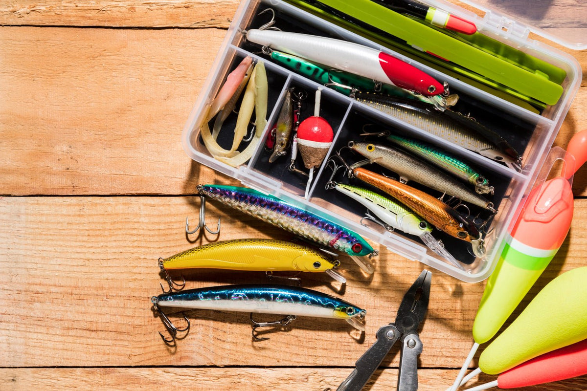 Fishing Trends to Watch: Innovations, Gear, and Techniques for the Fut ...