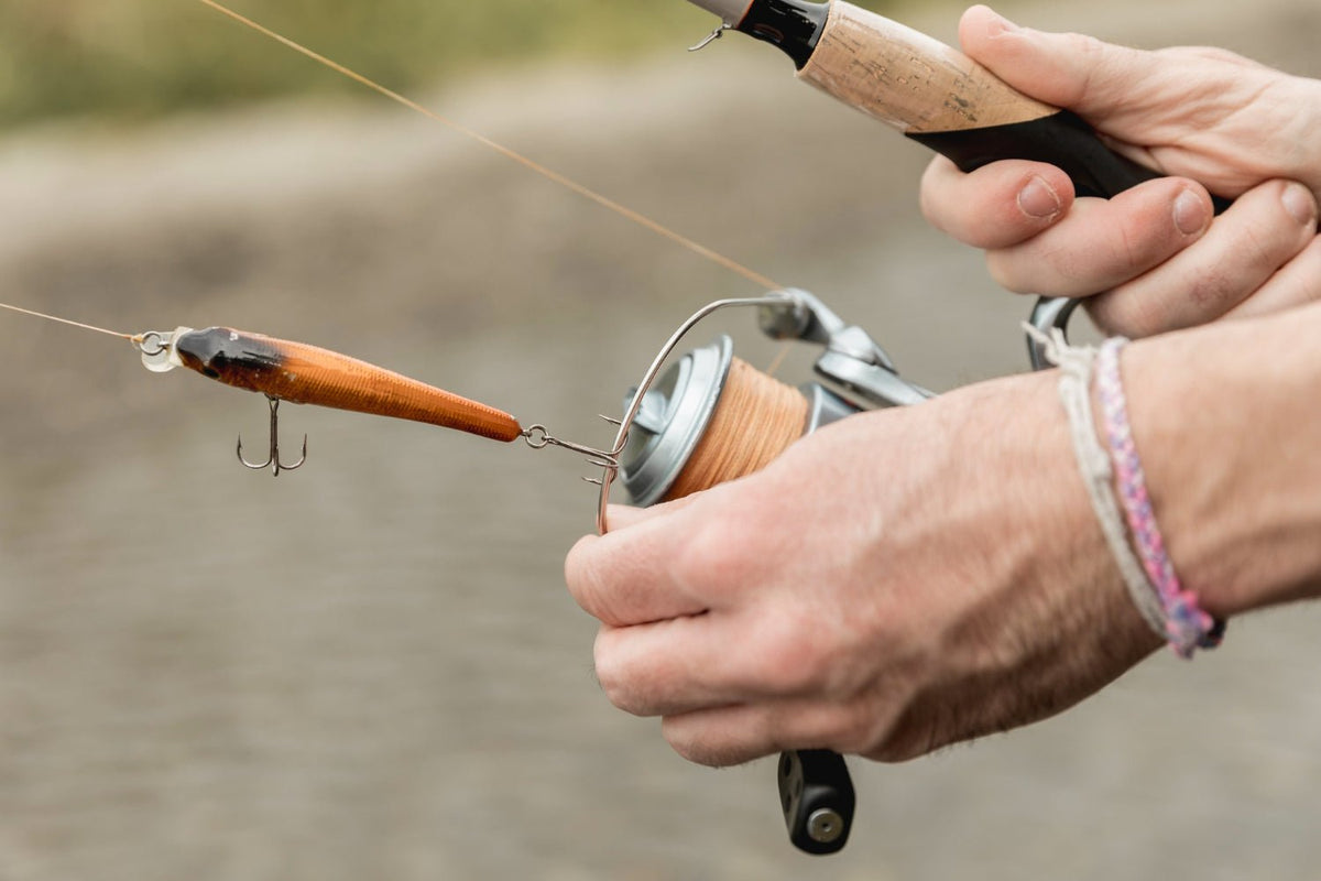Fly Fishing for Beginners: Essential Tips and Gear Recommendations ...