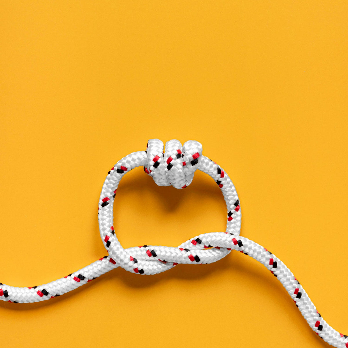 From Novice to Pro: Tips on Knot Tying and Line Rigging – BUZZERFISH