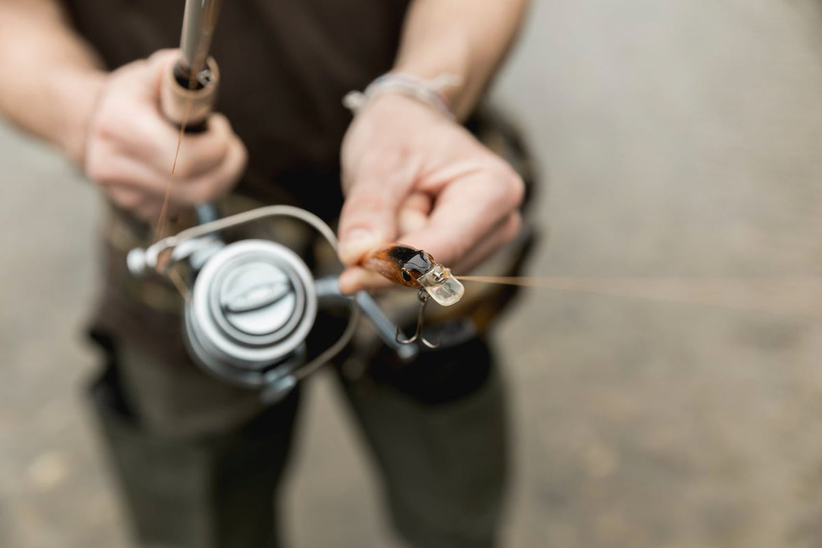 Hook, Line, and Sinker: Demystifying Fishing Terminology for Beginners ...