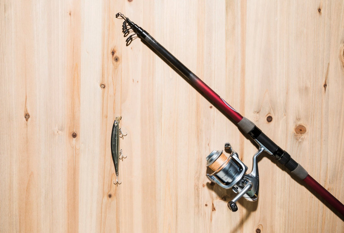 How to Choose the Right Fishing Rod and Reel Combo for Your Style ...
