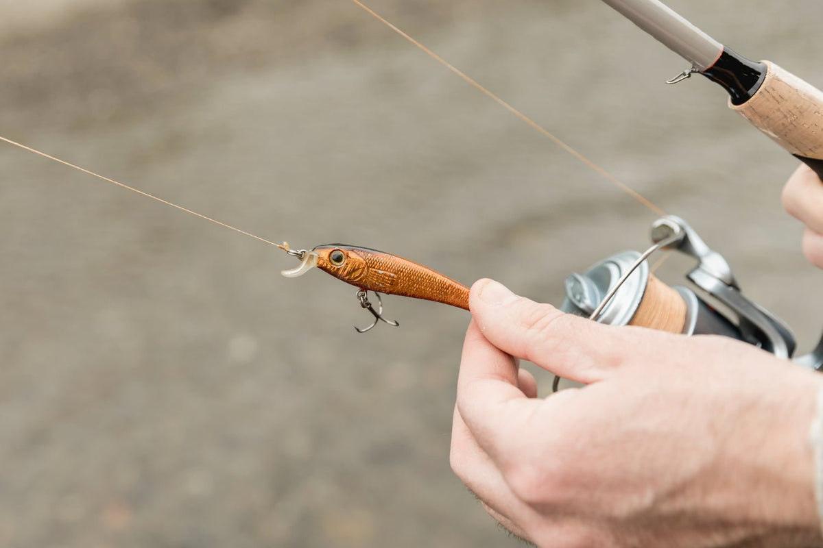 How to Choose the Right Fishing Rod and Reel for Your Needs – BUZZERFISH