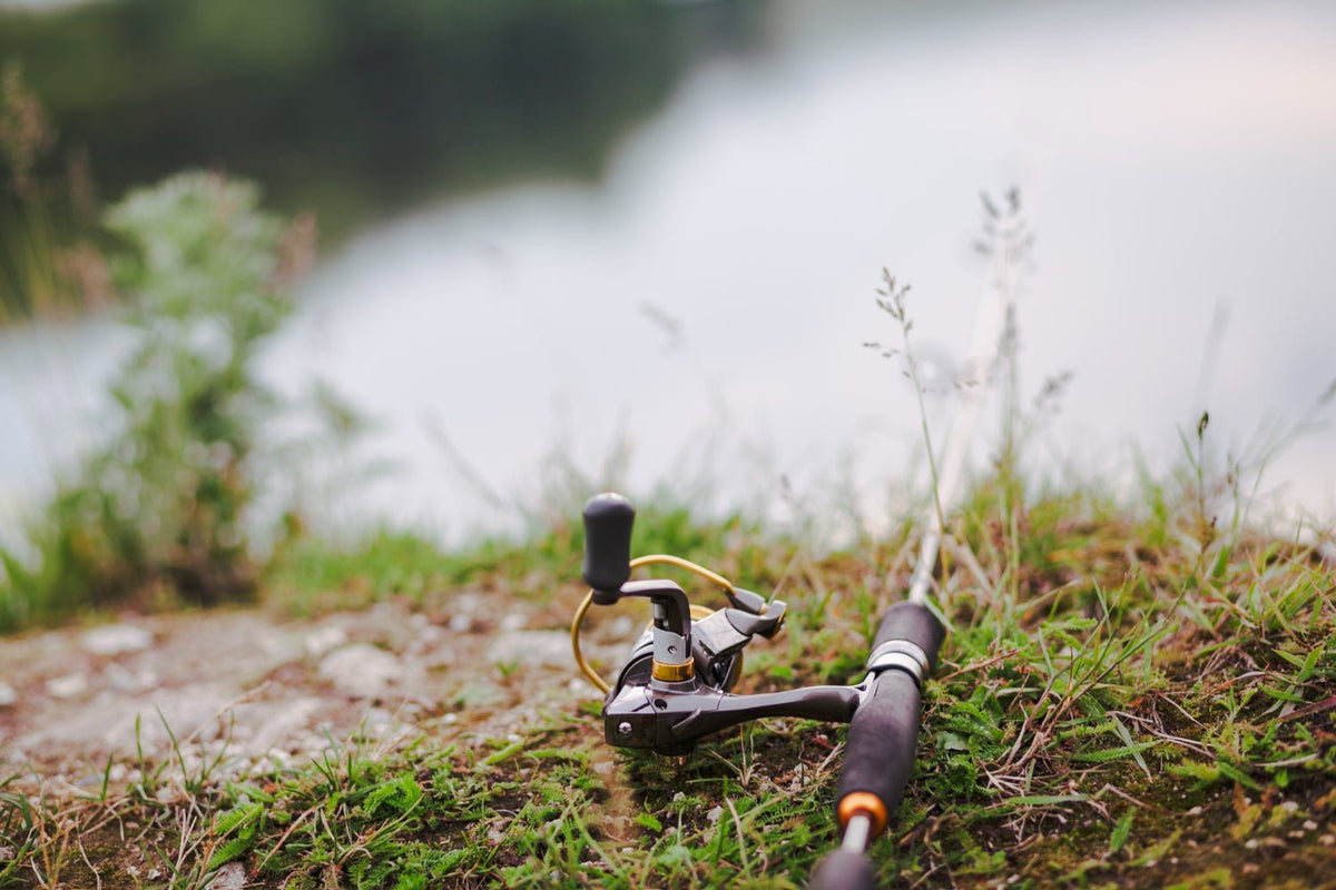 How to Identify and Fish in Different Water Types: Rivers, Lakes, and ...