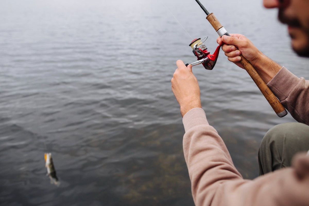 Sustainable Fishing Practices: Balancing Conservation and Recreation ...