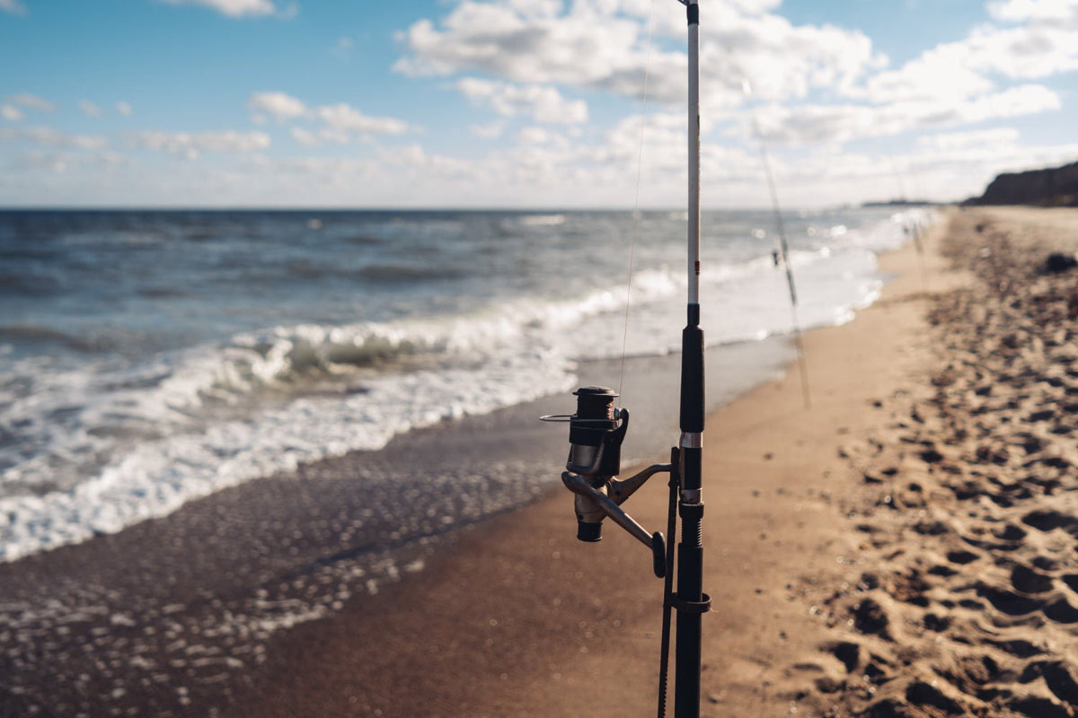 The Art of Fishing Photography: Capturing the Perfect Shot on the Wate ...
