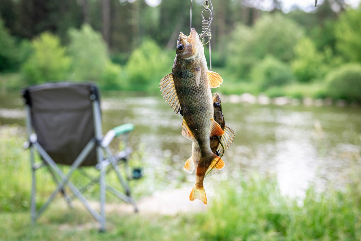 The Best Fishing Apps and Technology for Modern Anglers – BUZZERFISH