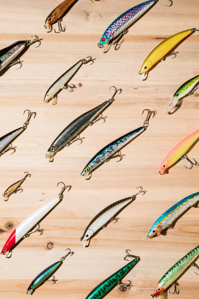 The Evolution of Fishing Lures: Innovations and Trends – BUZZERFISH