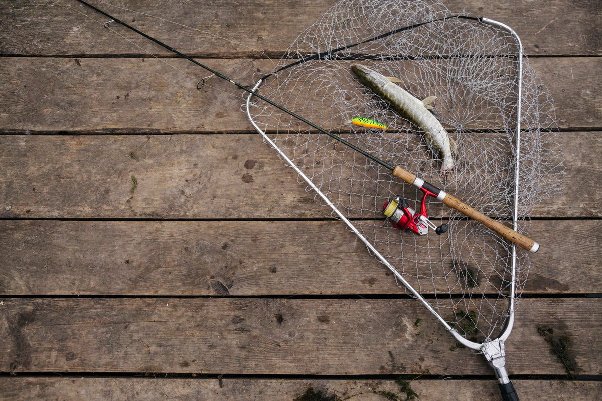 The Joy of Fly Fishing: Exploring the Therapeutic Benefits of Angling ...