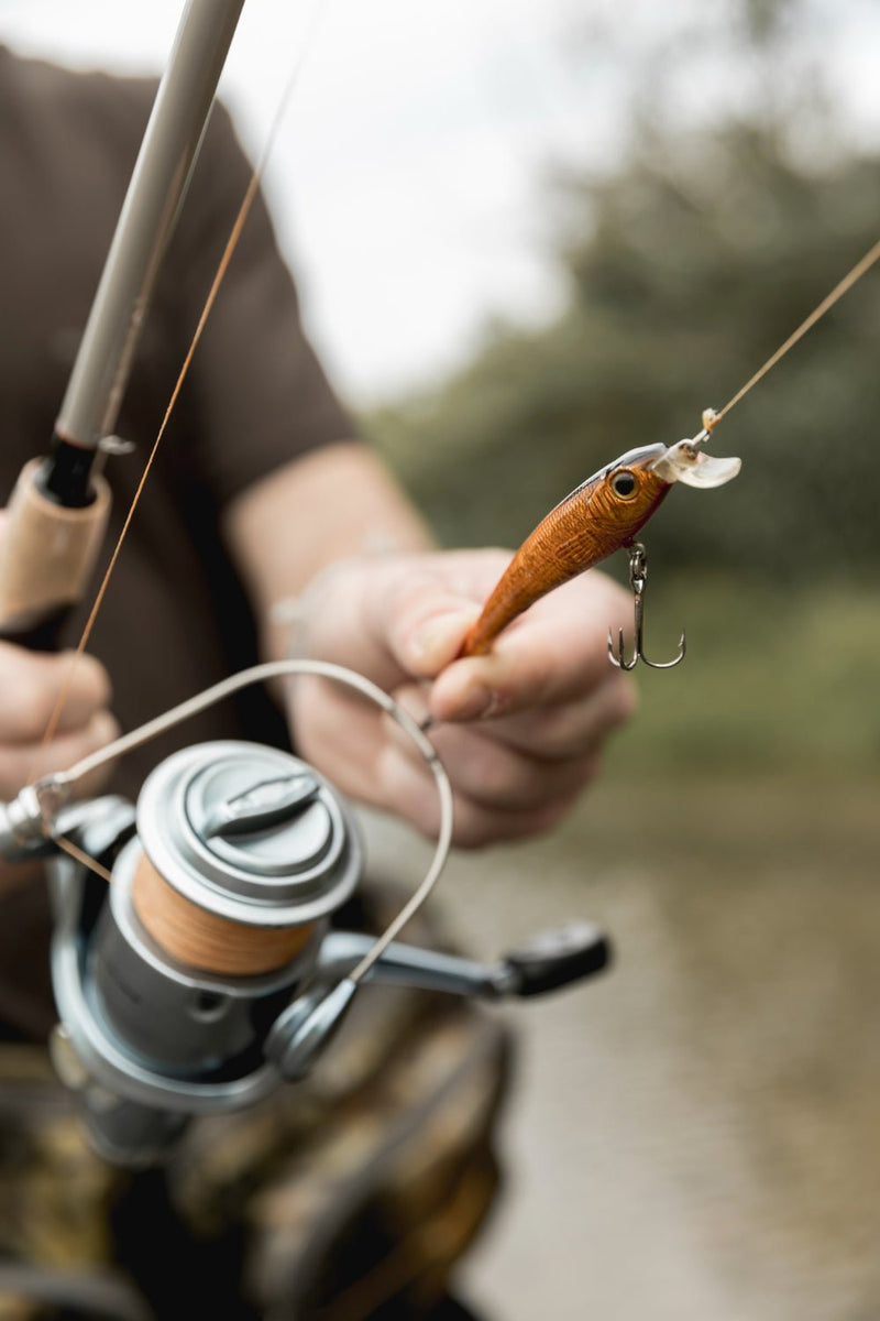 The Science Behind Successful Lure Selection – BUZZERFISH