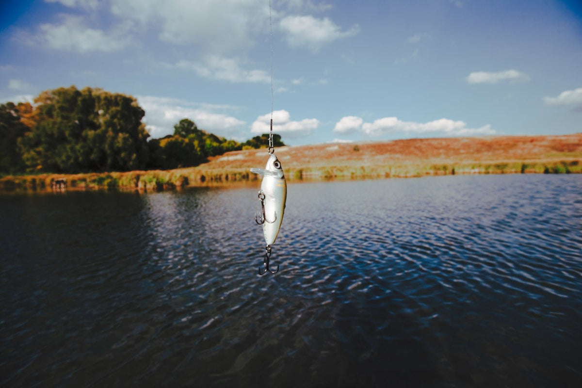 Top 10 Freshwater Fishing Destinations in North America – BUZZERFISH