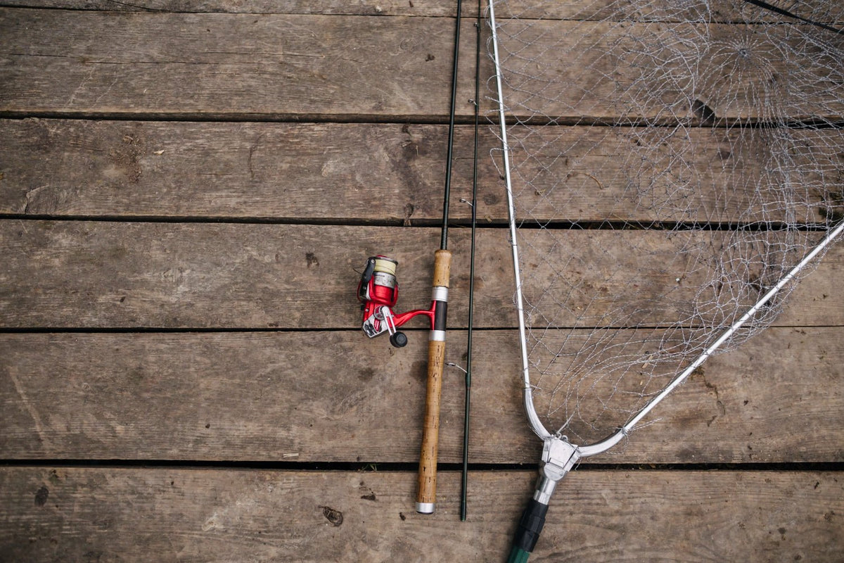 Understanding the Different Types of Fishing Rods and Their Uses ...